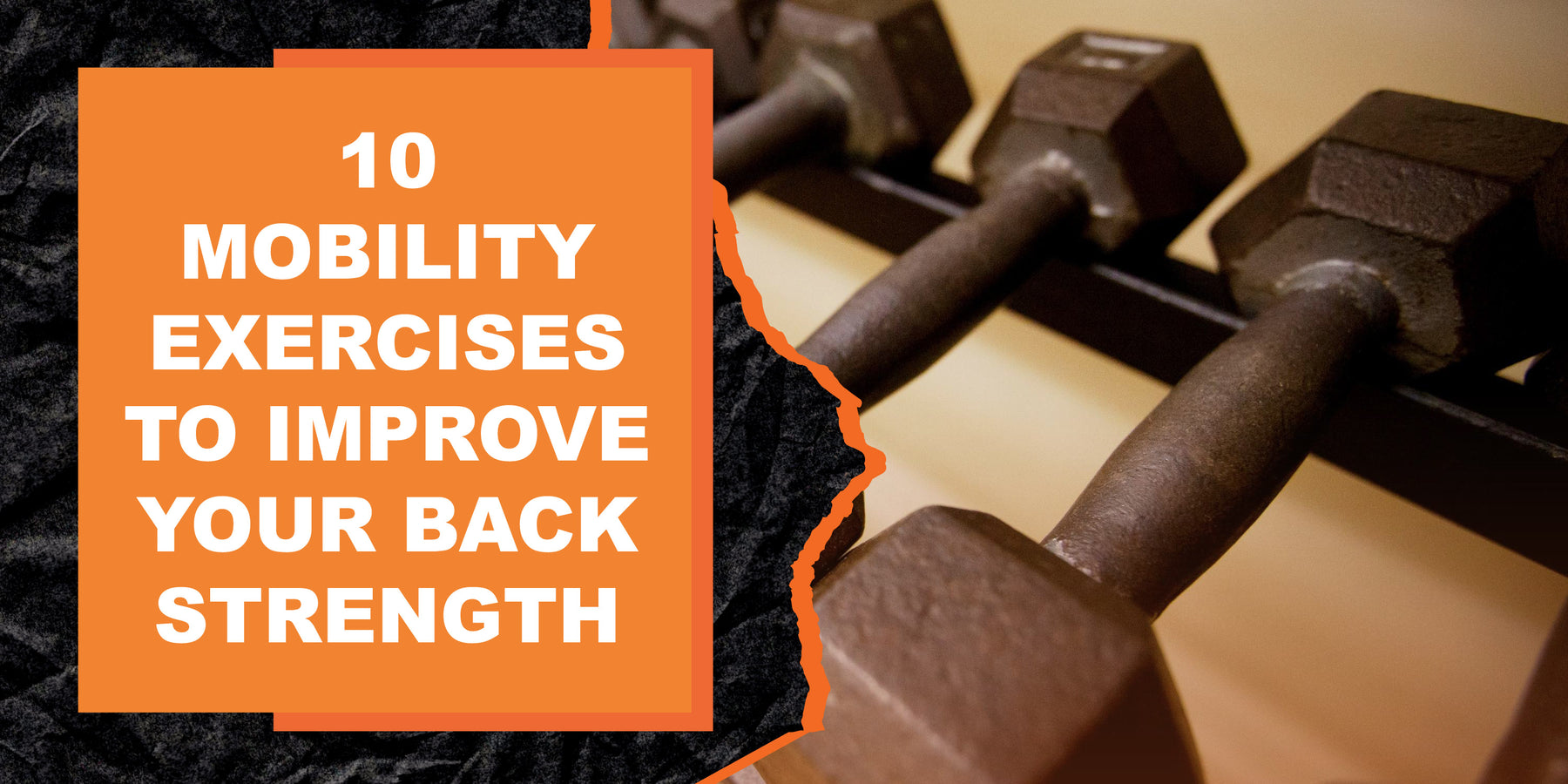 10 Mobility Exercises to Improve Your Back Strength | MAGMA Fitness