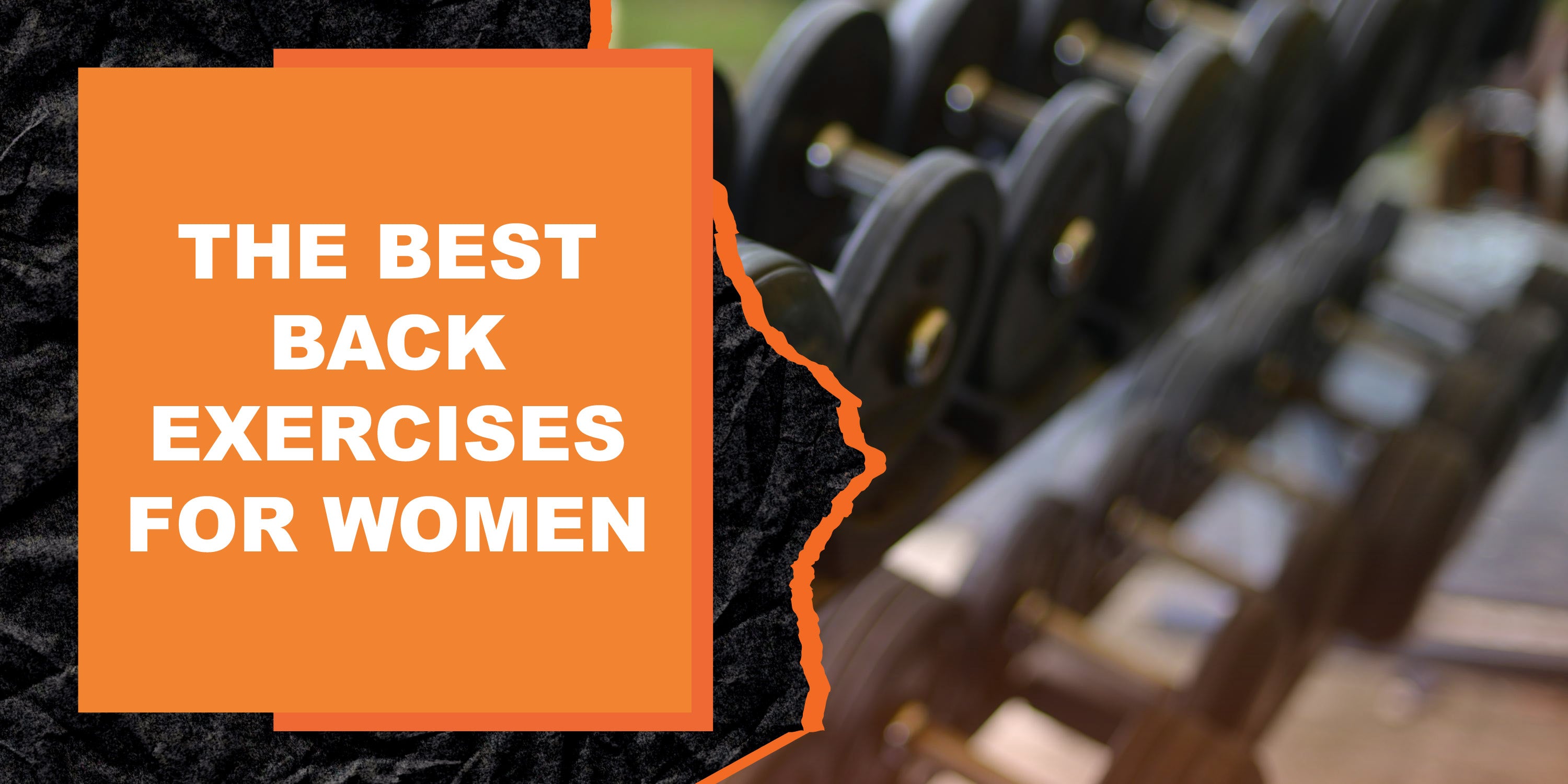 The Best Back Exercises for Women | MAGMA Fitness