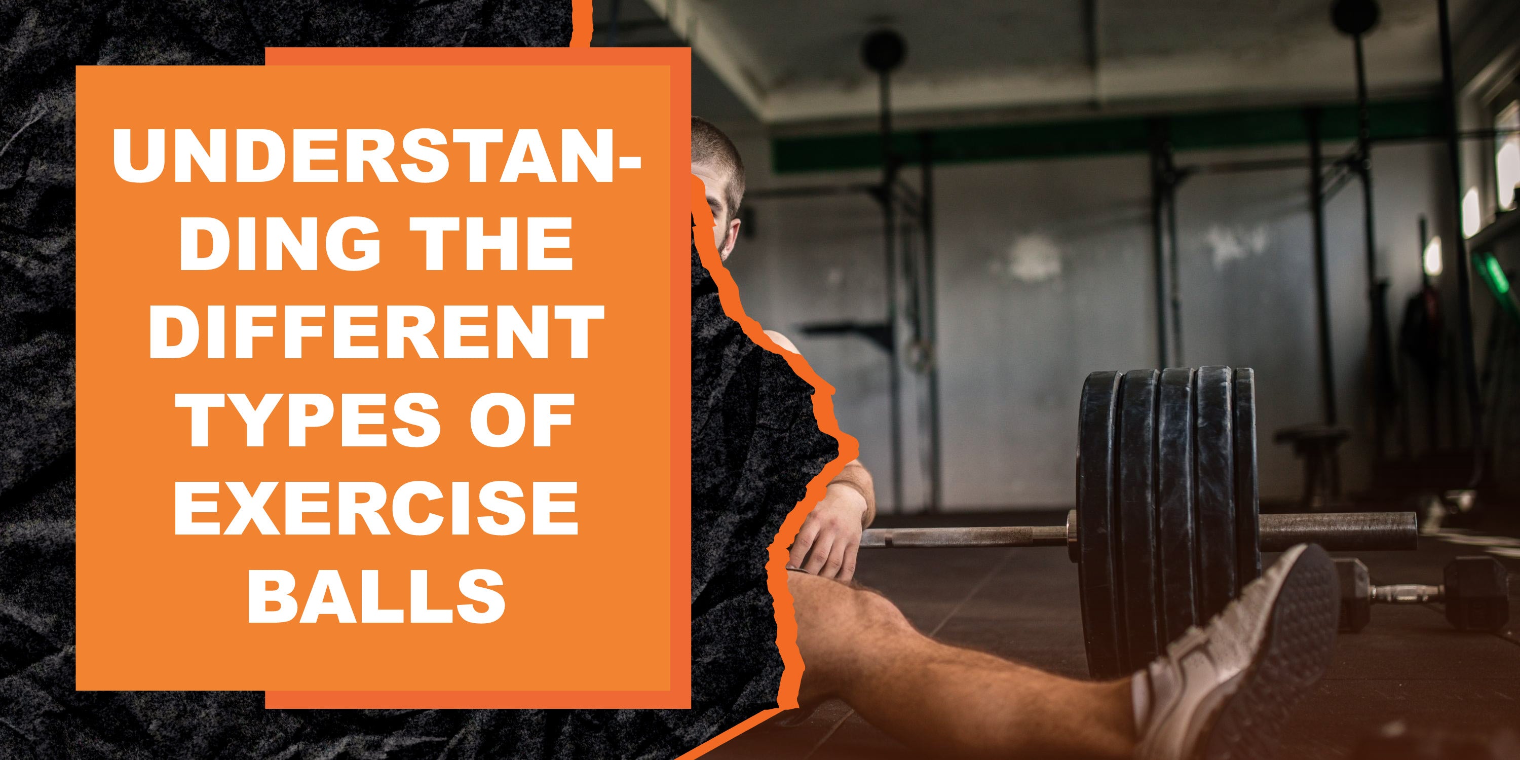 Understanding the Different Types of Exercise Balls | MAGMA Fitness