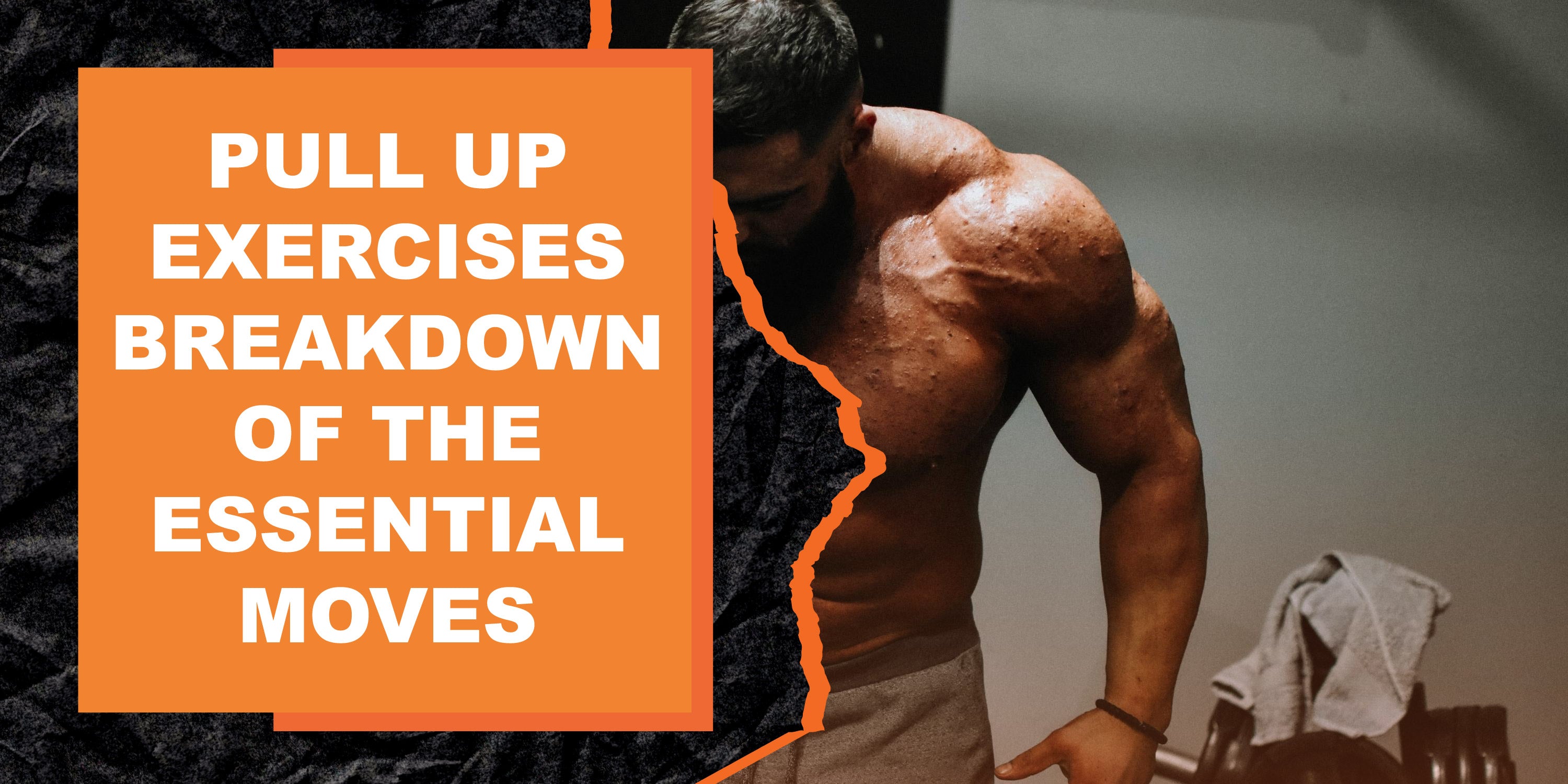 Pull Up Exercises: A Breakdown of the Five Essential Moves | MAGMA Fitness