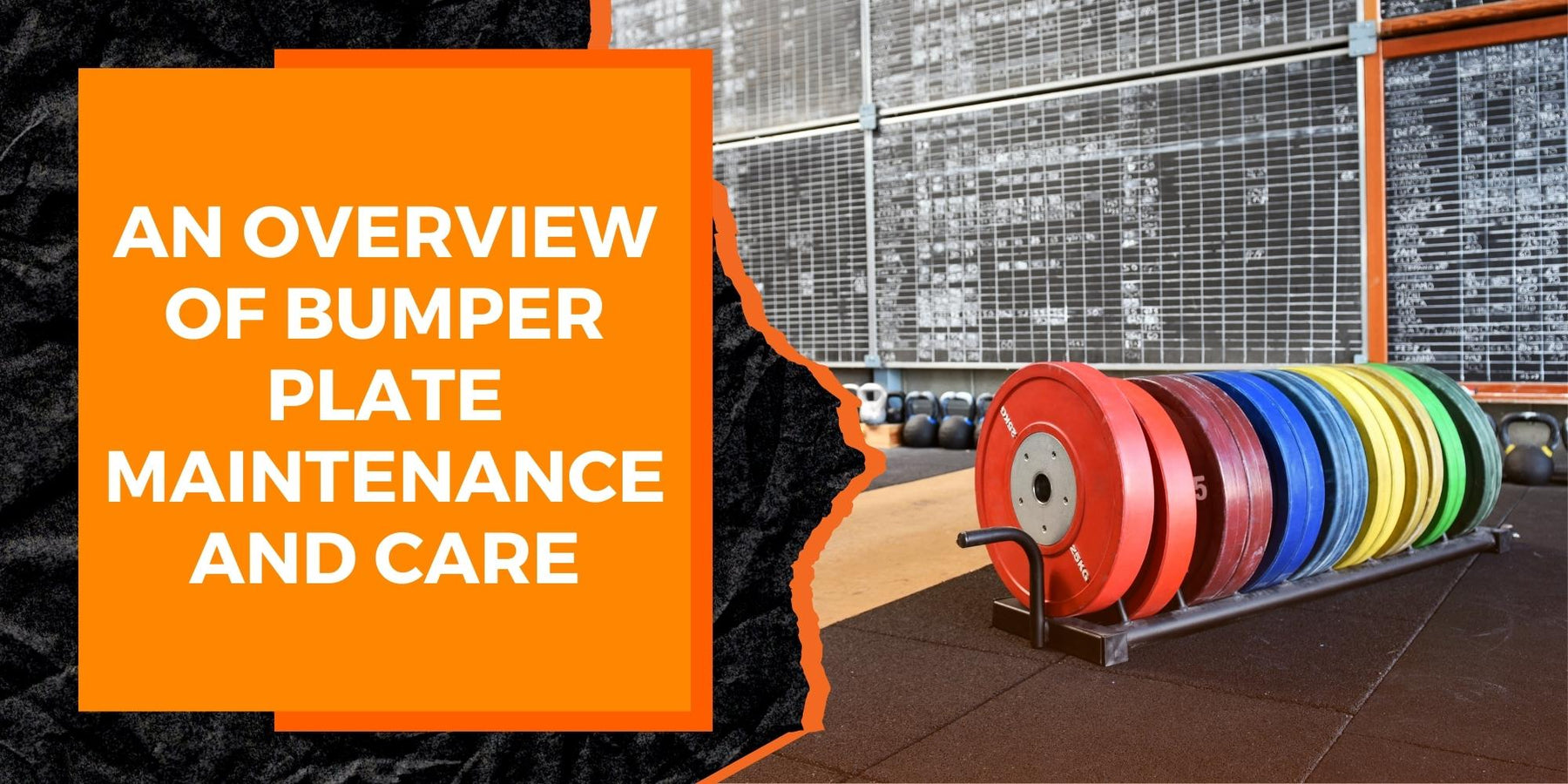 An Overview of Bumper Plate Maintenance and Care | MAGMA Fitness