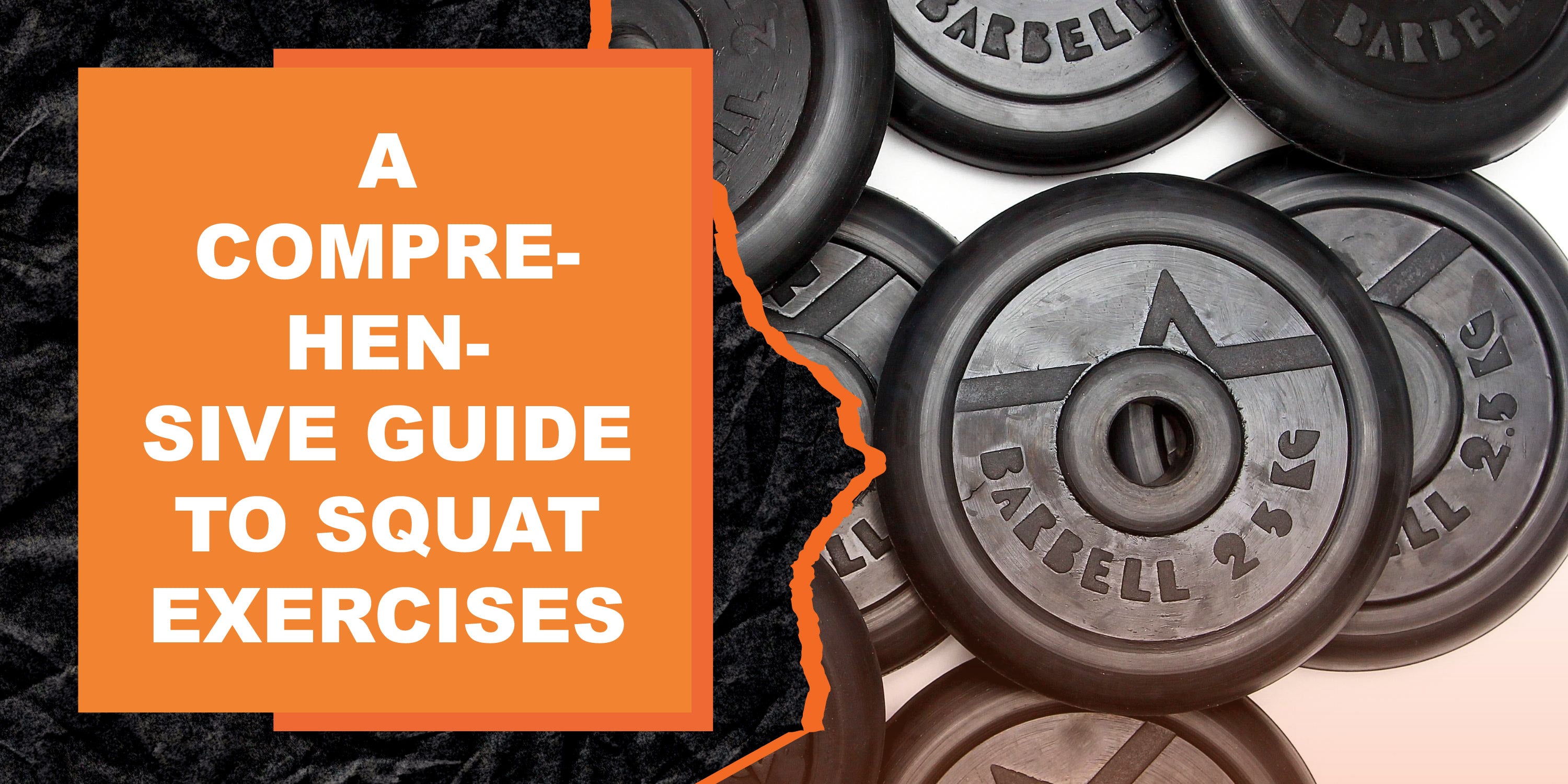 A Comprehensive Guide to Squat Exercises | MAGMA Fitness