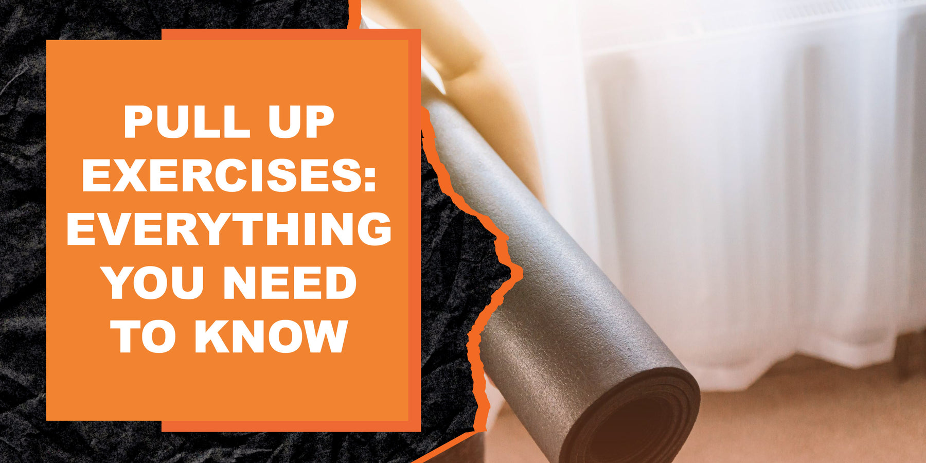 Pull Up Exercises: Everything You Need to Know | MAGMA Fitness