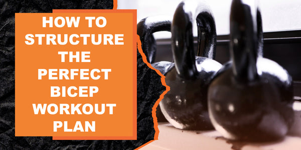 How to Structure the Perfect Bicep Workout Plan | MAGMA Fitness