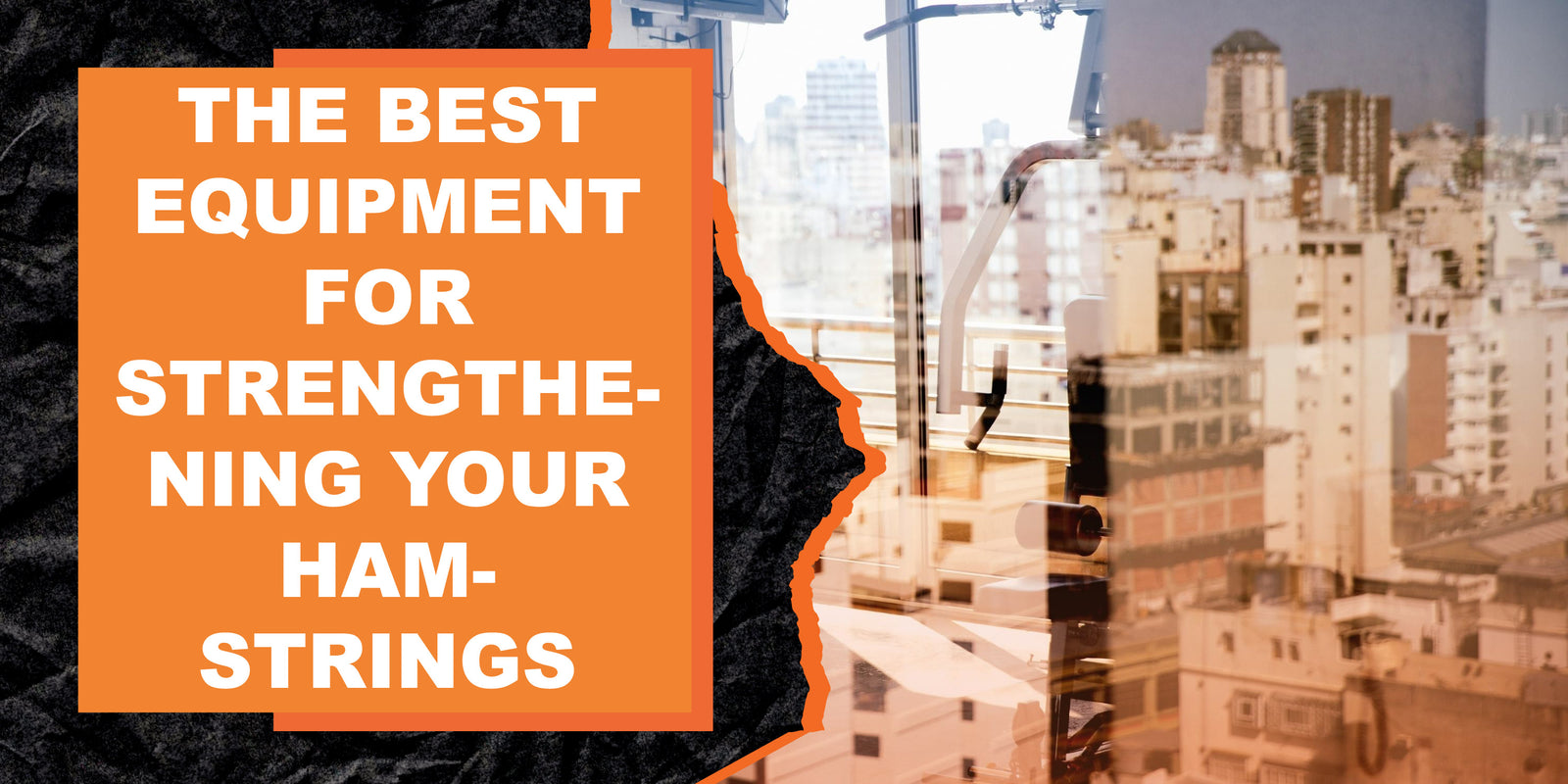 The Best Equipment for Strengthening Your Hamstrings | MAGMA Fitness The Best Equipment for Strengthening Your Hamstrings | MAGMA Fitness