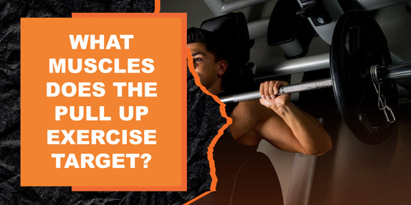 What Muscles Does the Pull Up Exercise Target? | MAGMA Fitness