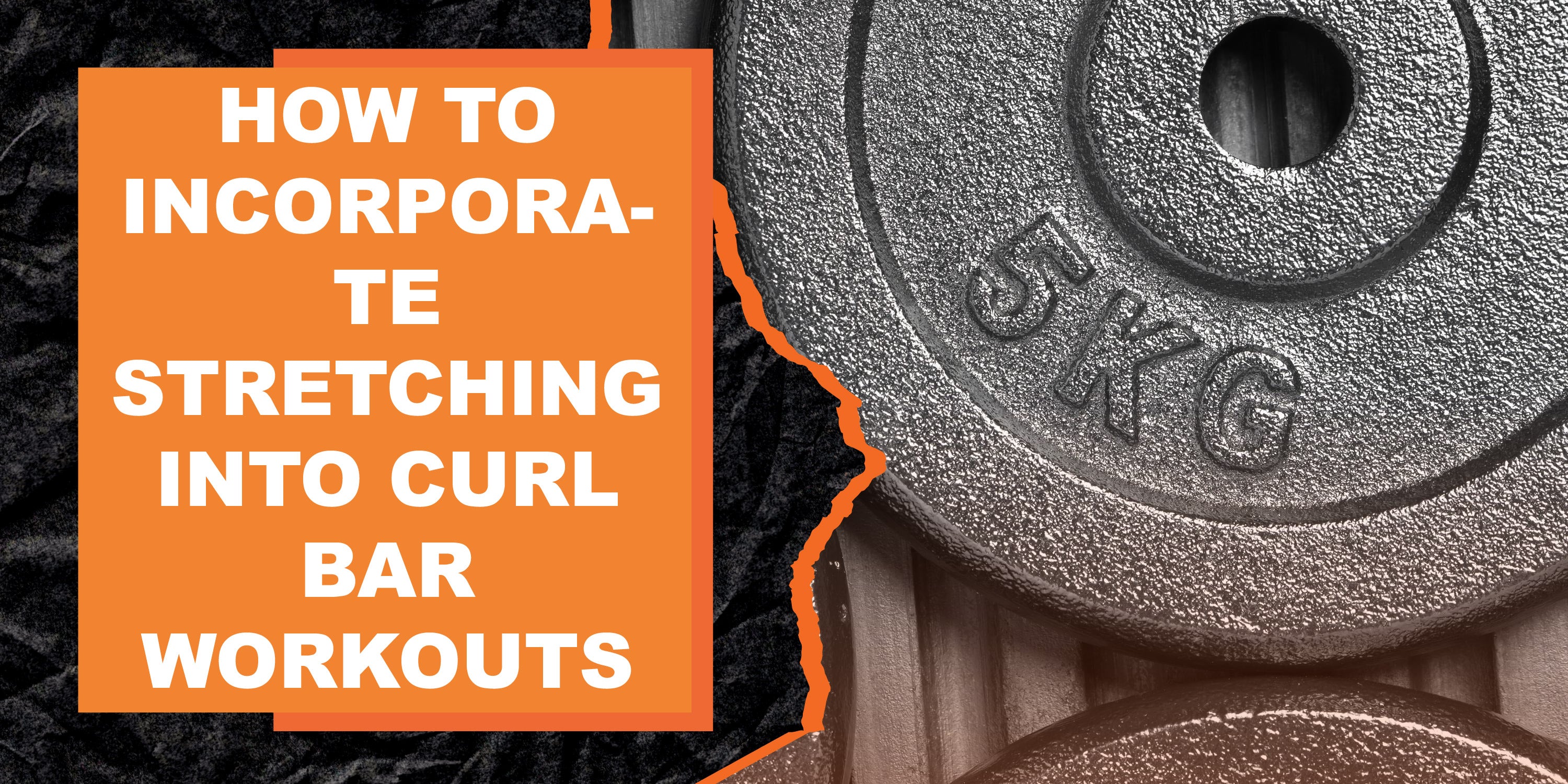 How to Incorporate Stretching Into Curl Bar Workouts | MAGMA Fitness