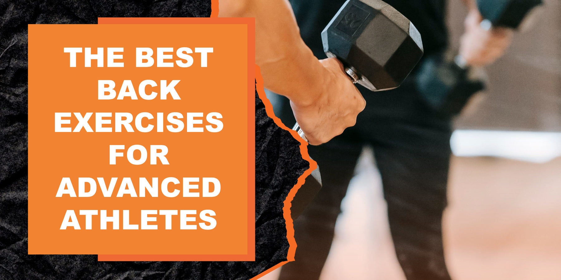 The Best Back Exercises for Advanced Athletes | MAGMA Fitness