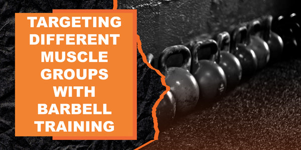 Targeting Different Muscle Groups With Barbell Training | MAGMA Fitness