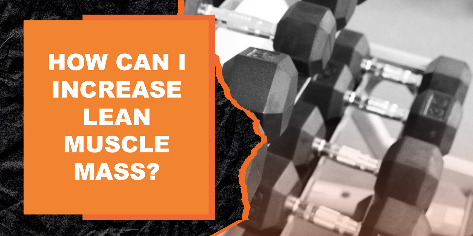 How Can I Increase Lean Muscle Mass MAGMA Fitness how-can-i-increase-lean-muscle-mass-magma-fitness