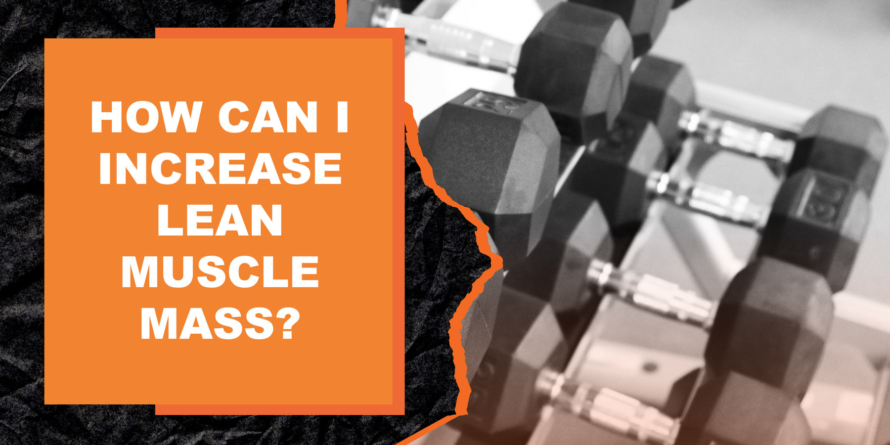 How Can I Increase Lean Muscle Mass? | MAGMA Fitness