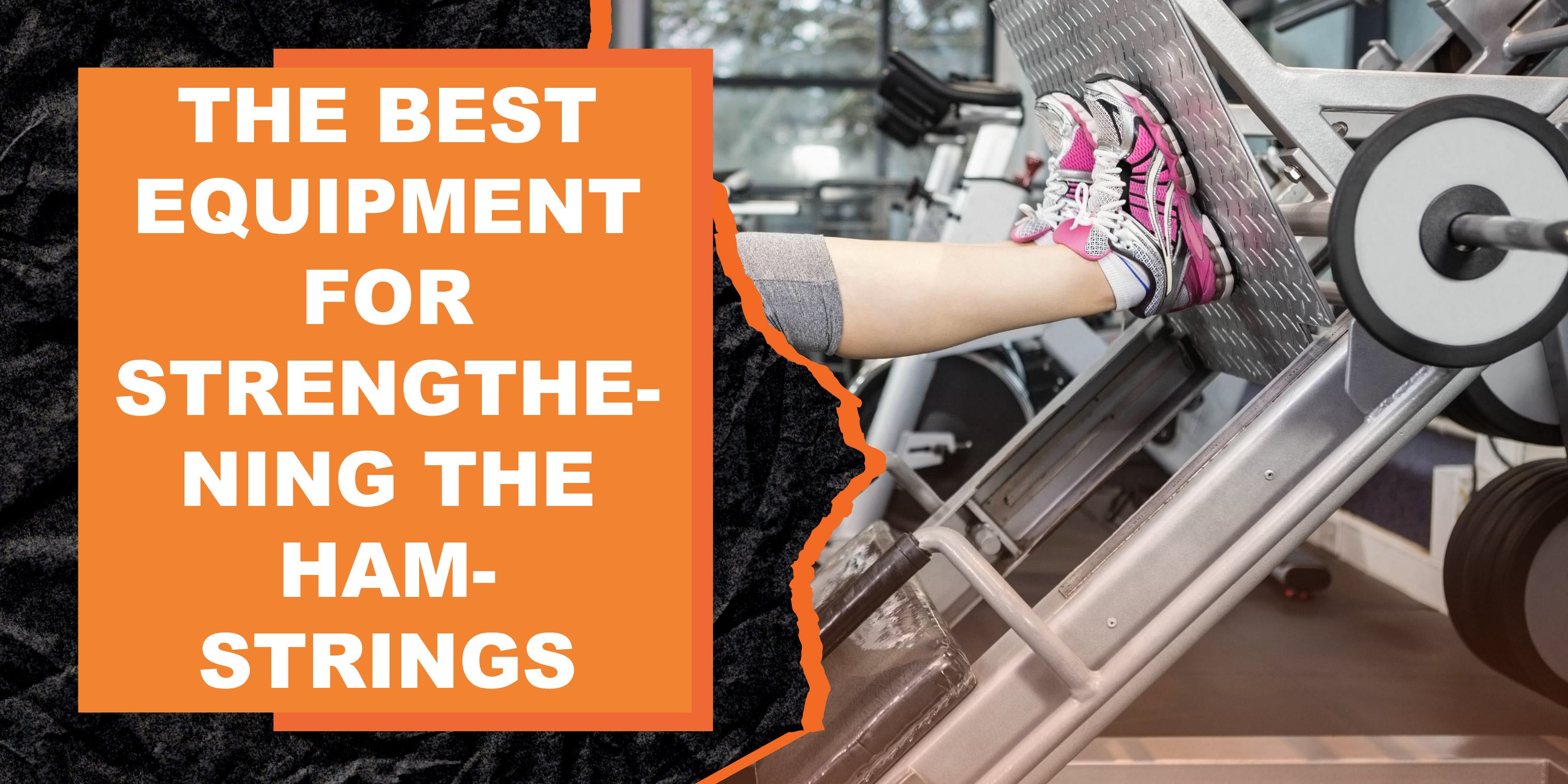 The Best Equipment for Strengthening the Hamstrings | MAGMA Fitness