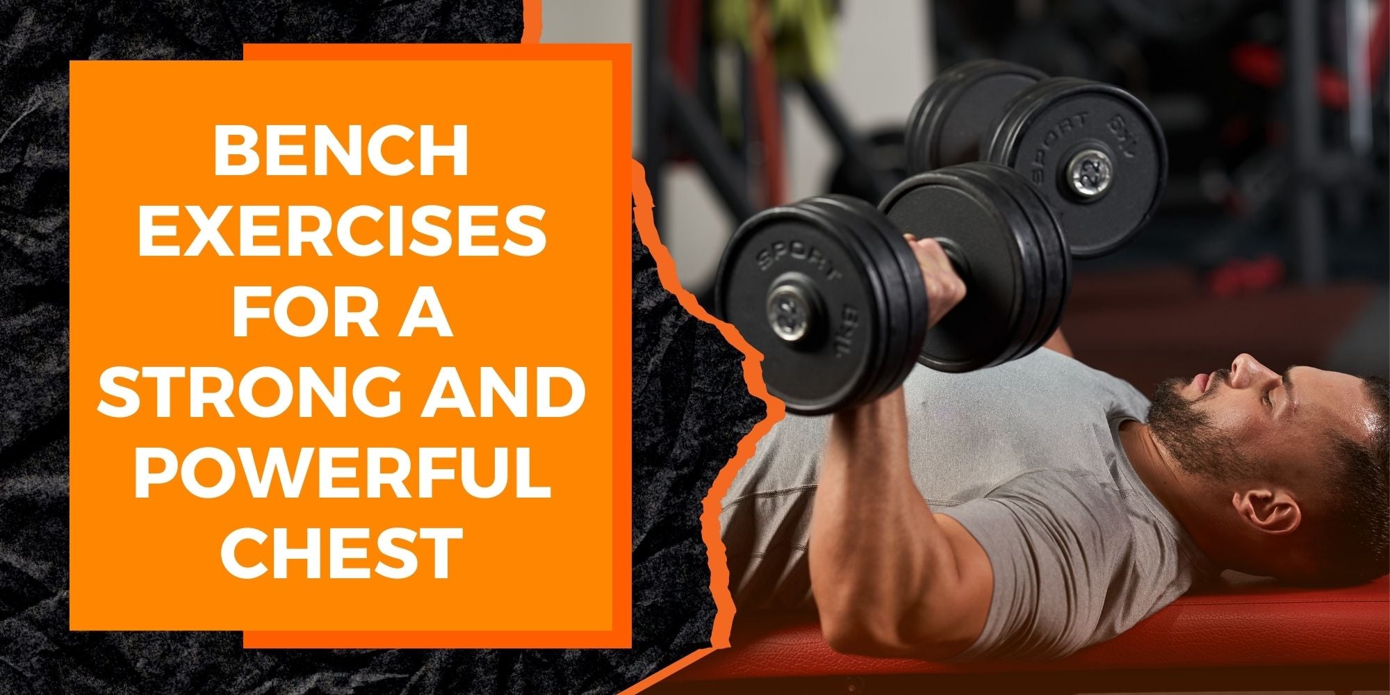 Bench Exercises for a Strong and Powerful Chest | MAGMA Fitness