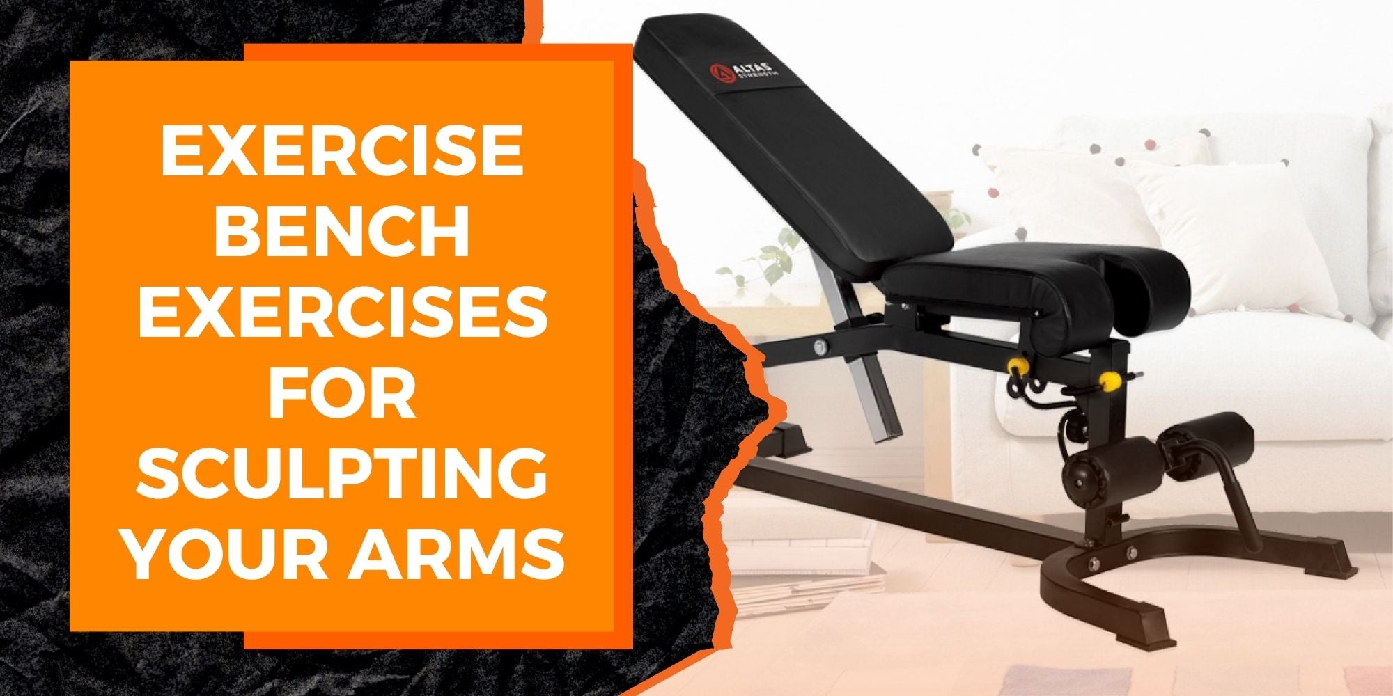 Exercise Bench Exercises for Sculpting Your Arms | MAGMA Fitness