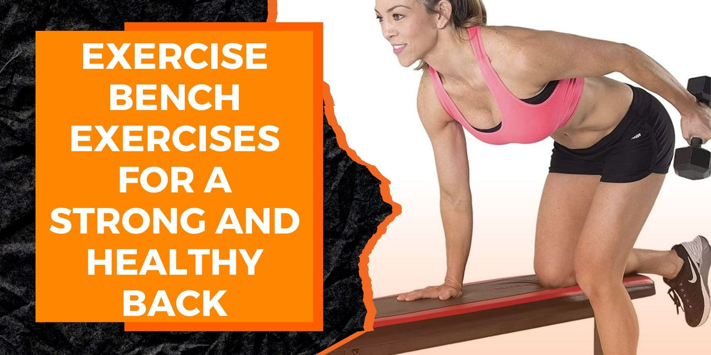 Exercise Bench Exercises for a Strong and Healthy Back | MAGMA Fitness