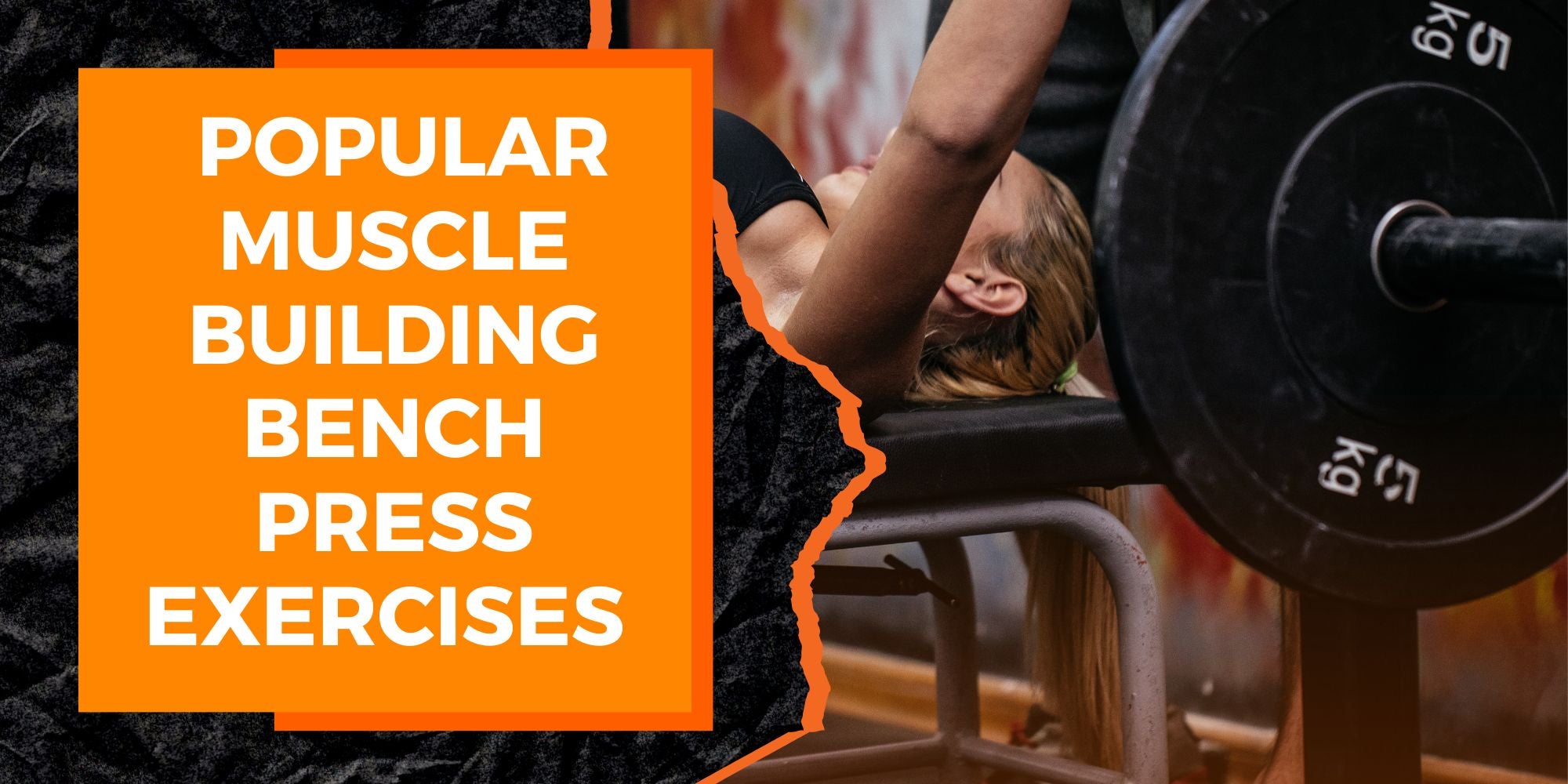 The Most Popular Bench Press Exercises for Building Muscle | MAGMA Fitness