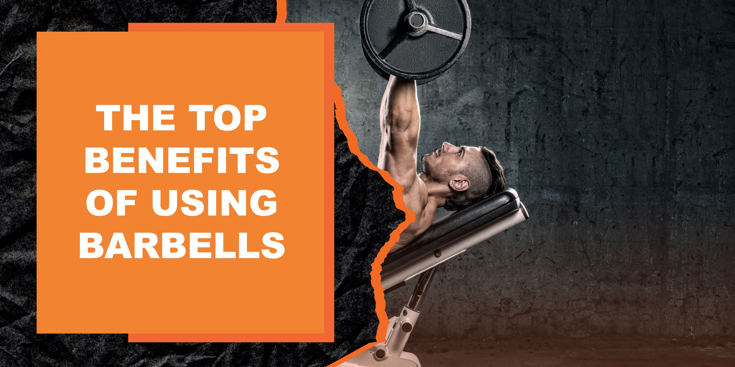 The Top Benefits of Using Barbells | MAGMA Fitness