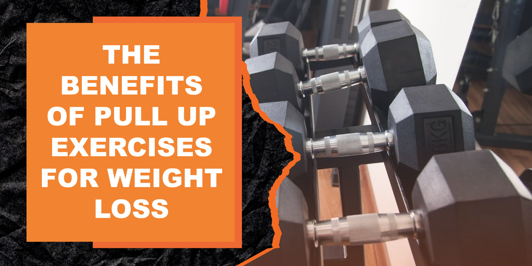 The Benefits of Pull Up Exercises for Weight Loss | MAGMA Fitness