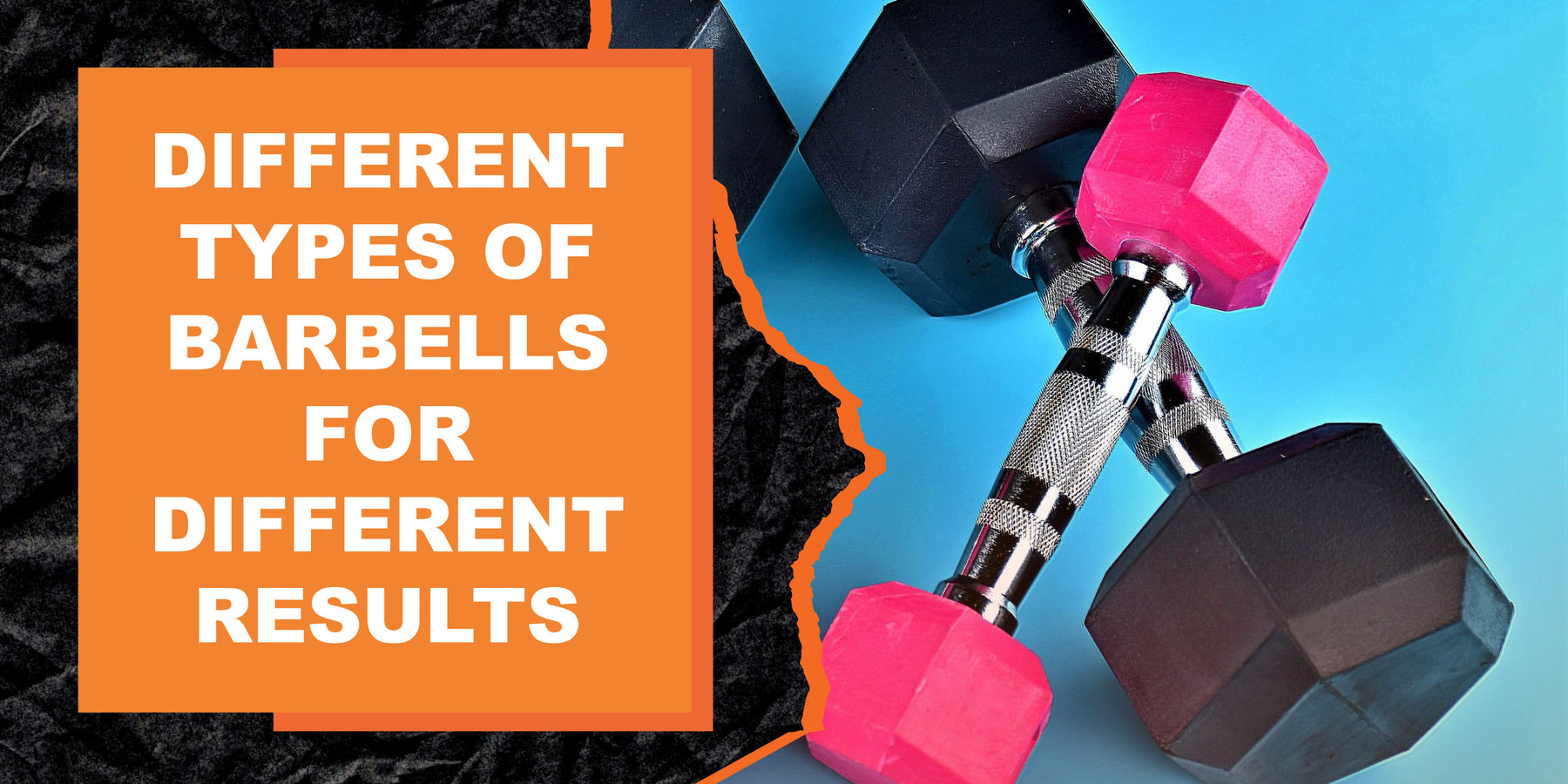 Different Types of Barbells for Different Results | MAGMA Fitness