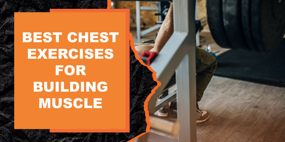 The Best Chest Exercises for Building Muscle and Strength | MAGMA Fitness