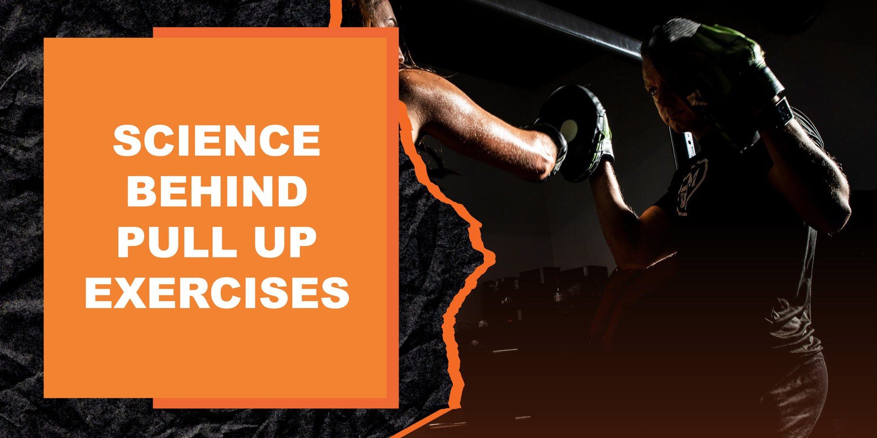 The Science Behind Pull Up Exercises: Exploring the Benefits | MAGMA ...